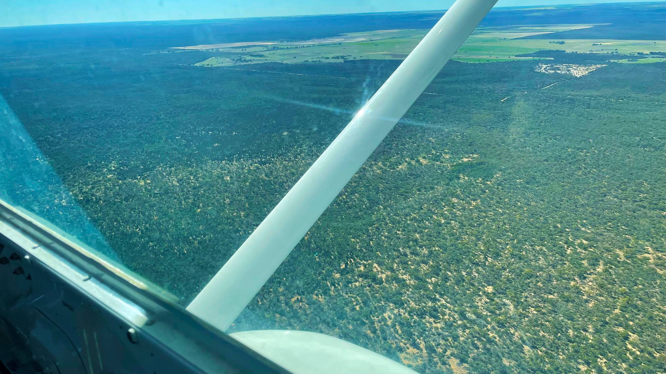 Aerial laser scanning crucial to mapping vulnerable fauna | MNG