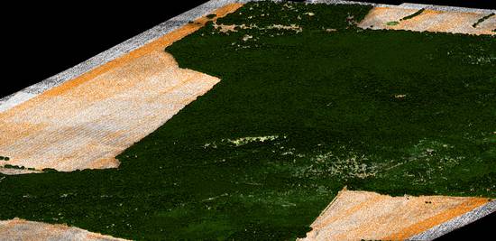 Aerial laser scanning crucial to mapping vulnerable fauna | MNG