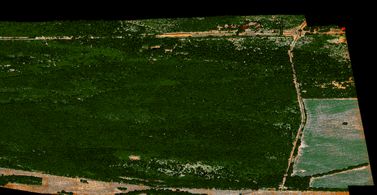 Aerial laser scanning crucial to mapping vulnerable fauna | MNG