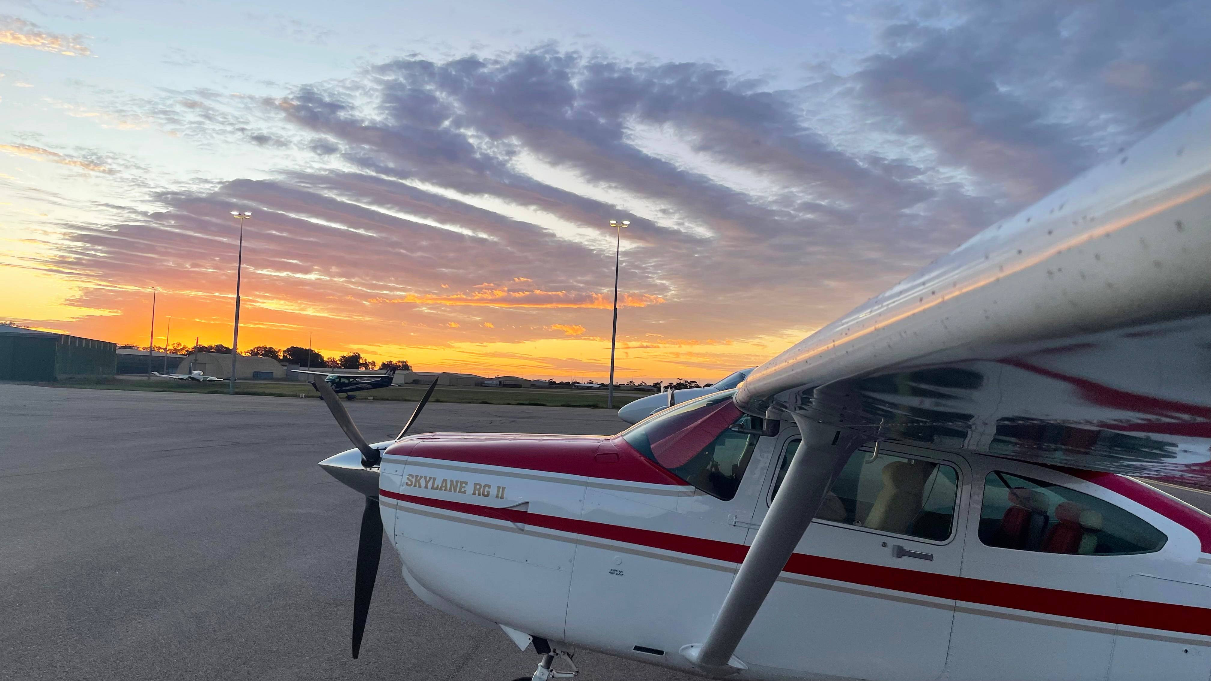 Aerial laser scanning crucial to mapping vulnerable fauna | MNG