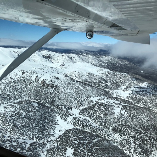 Aerial Surveying | MNG