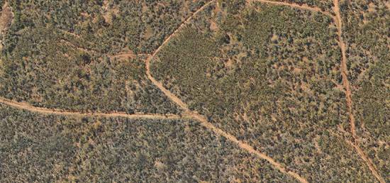 Aerial laser scanning crucial to mapping vulnerable fauna | MNG